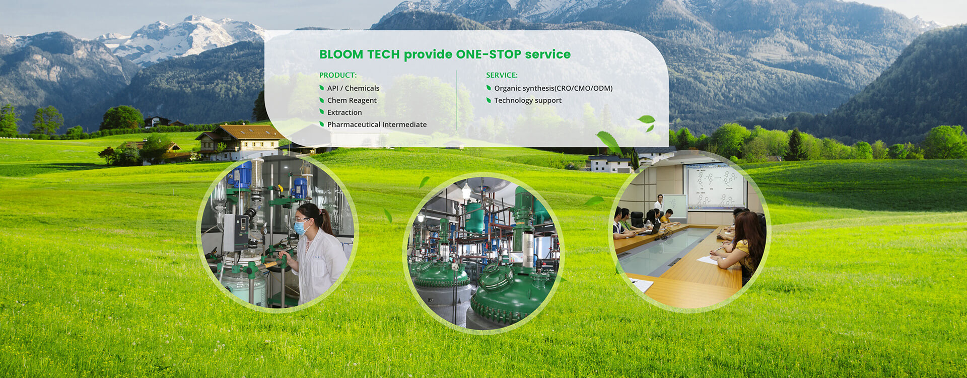 Organic synthesis, Chem Reagent, Fine Chemical Manufacturer & Supplier ...